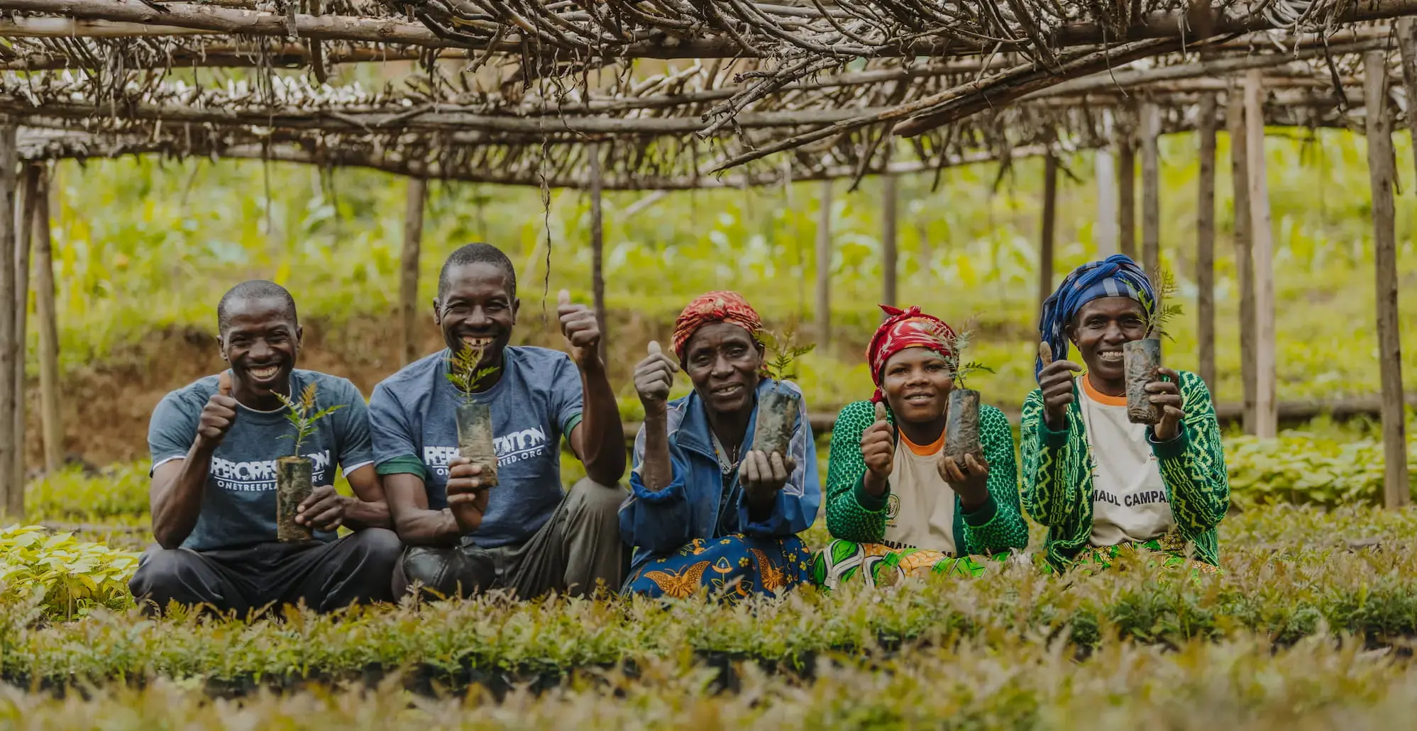 ARCOS' Tree-mendous Efforts to Restore Rwanda's Ecosystem | AFR100